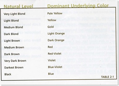 Life's a Bleach .. the Lightening of Melanin | Killerstrands Hair Clinic